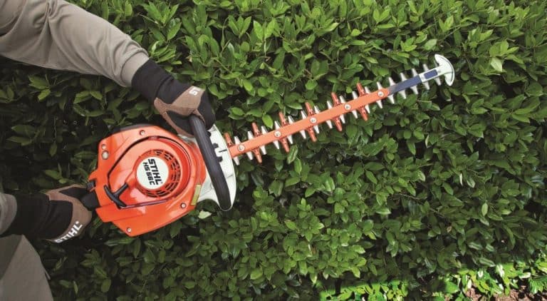 Cortador de cerca-viva: para que serve? - Green Quizz